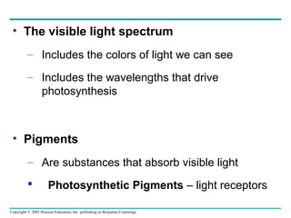 photosynthesis | PPT