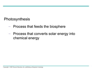 photosynthesis | PPT