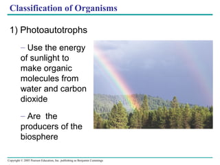 photosynthesis | PPT
