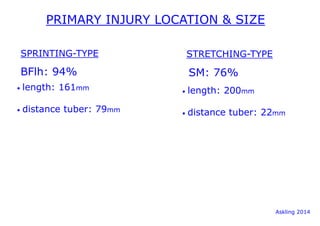Carl Askling - Sprinting-type vs stretching-type of acute hamstring ...