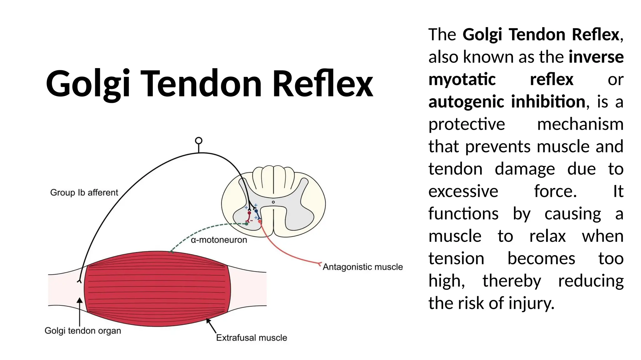 CLINICAL METHODS FOR ASSESSMENT OF TONE.pptx