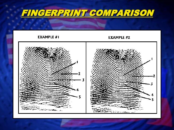 Fingerprint Identification