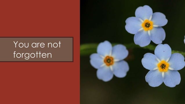 6A Slide Presentation | PPT