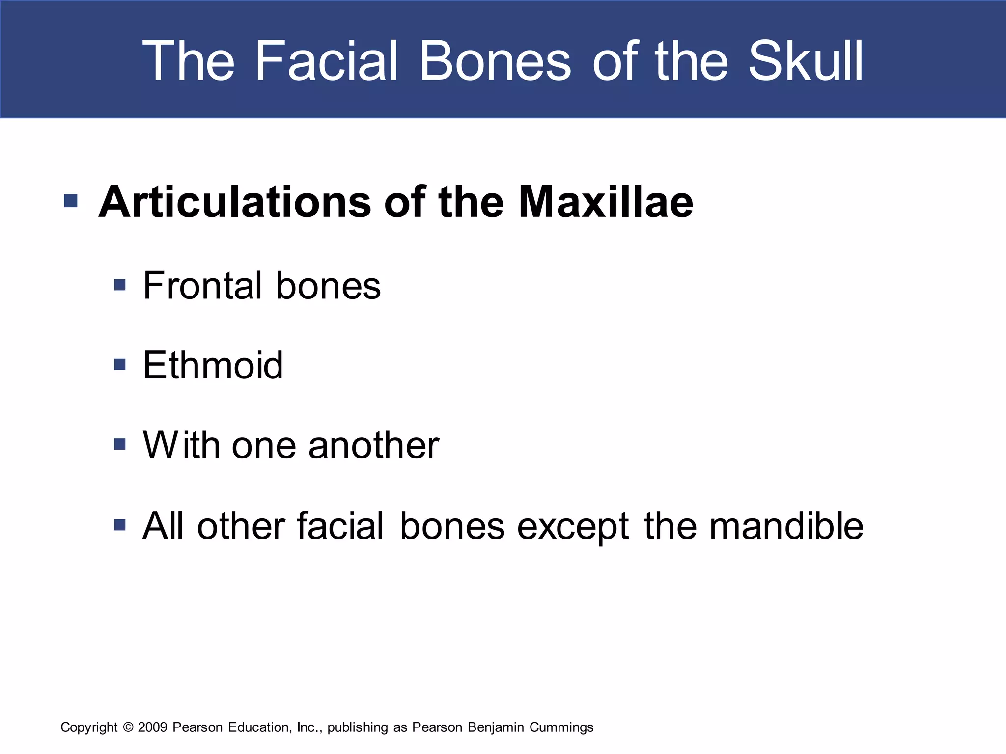 Facial bones anatomy, Anatomic position of fascial bone, axial skeleton ...