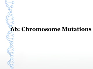 6b chromosome mutations | PPT
