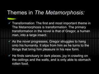 6b - Metamorphosis Presentation.pptx