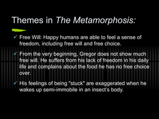 6b - Metamorphosis Presentation.pptx