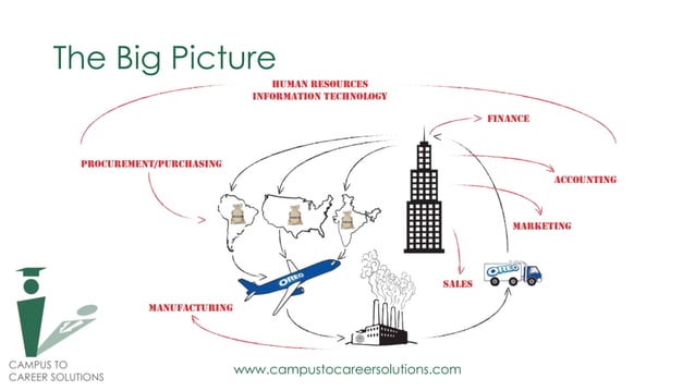 The Life Cycle of an Oreo | PPTX