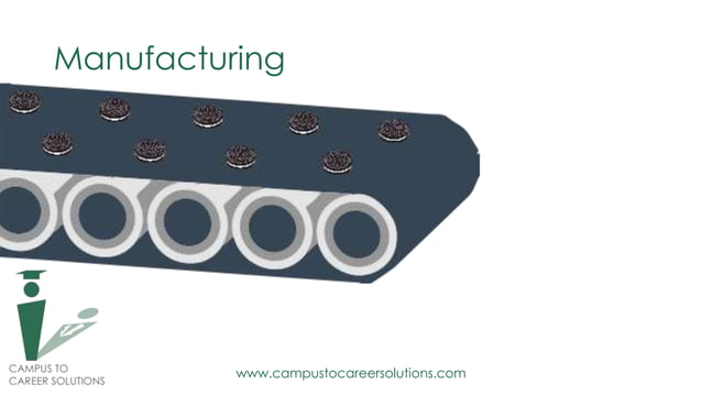 The Life Cycle of an Oreo | PPT