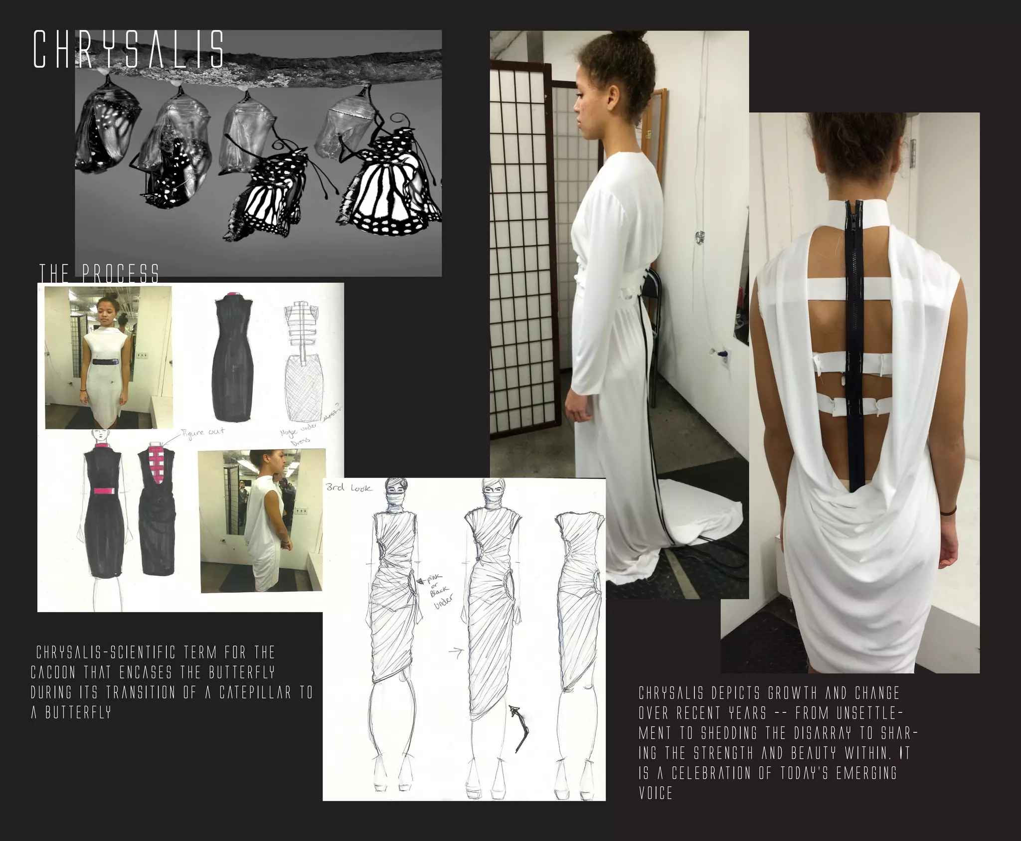 Chrysalis Portfolio boards | PDF