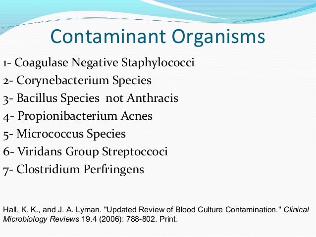 Blood Culture Contamination at RUMC, A clinicians Perspective