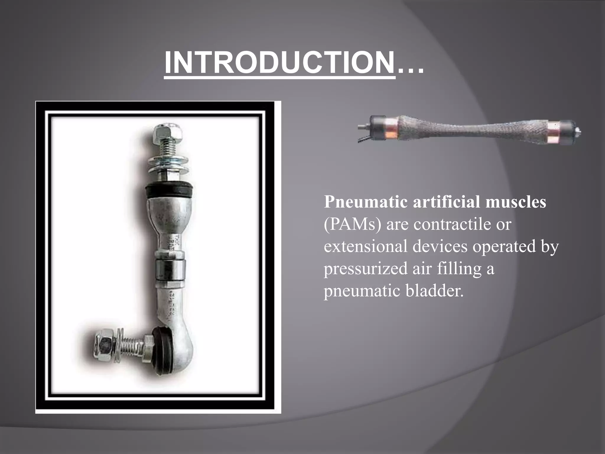 Pneumatic Air Muscles | PPTX