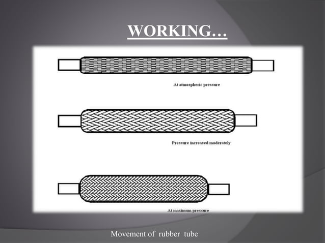 Pneumatic Air Muscles | PPTX | Robotics | Technology & Computing