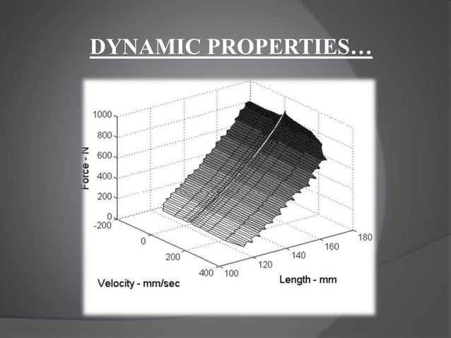 Pneumatic Air Muscles | PPTX | Robotics | Technology & Computing