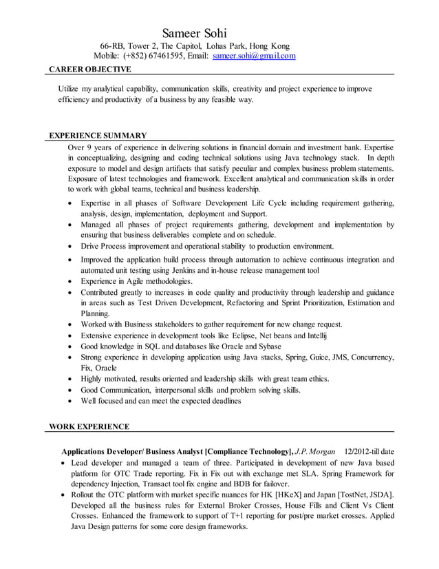 Sameer | DOCX | Web Development | Internet