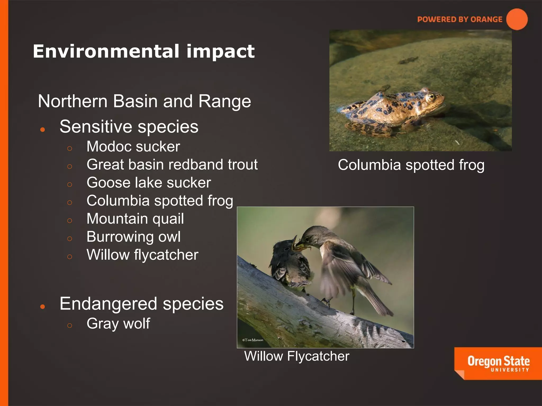 ME 499 CSP Project Presentation | PDF