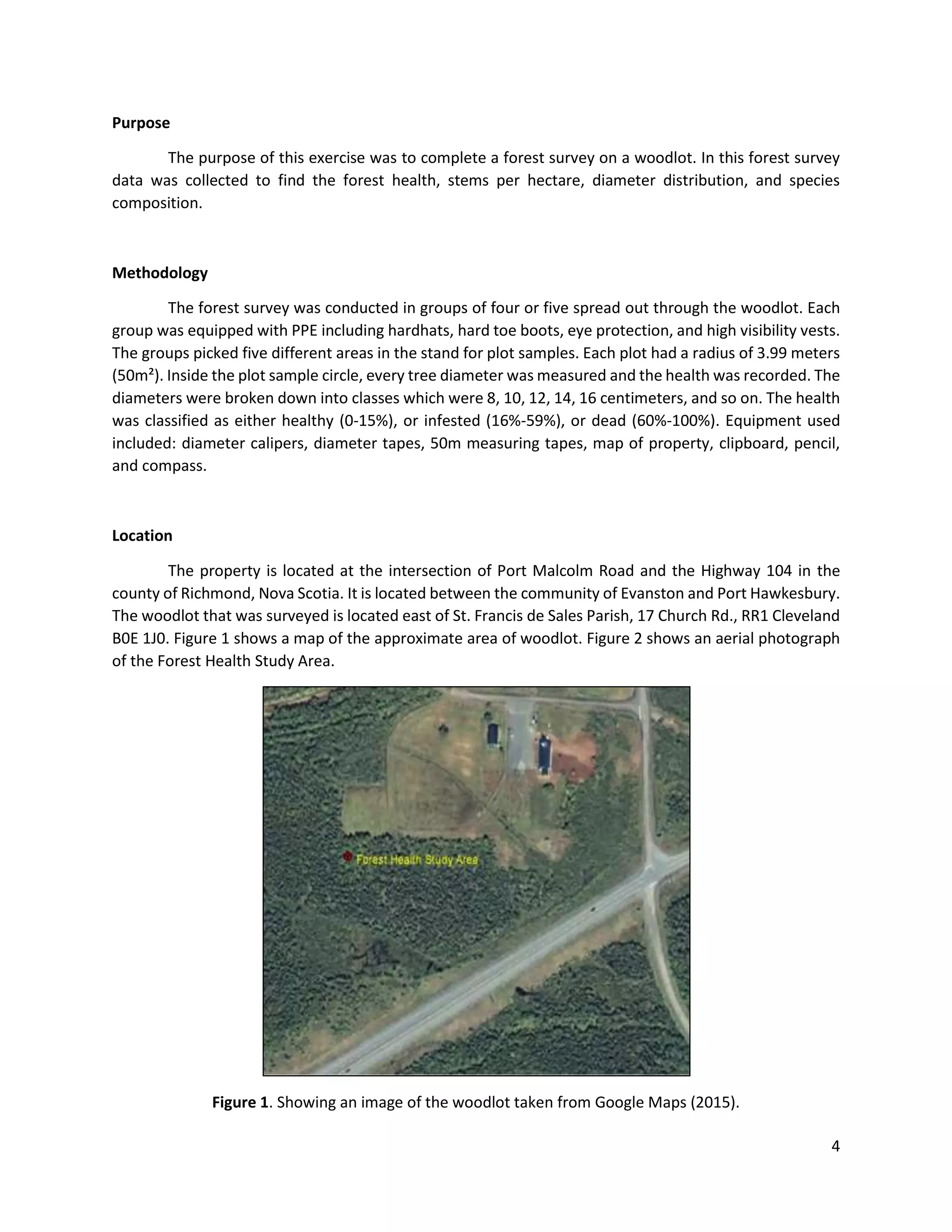 Forest Survey MATH Project Jim | DOCX
