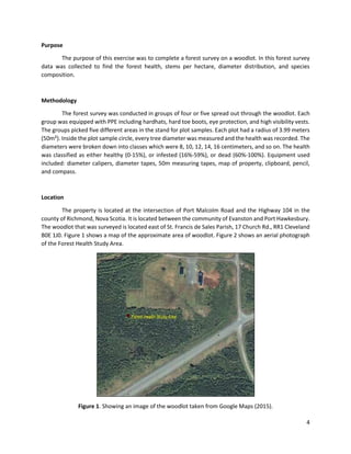Forest Survey MATH Project Jim | DOCX