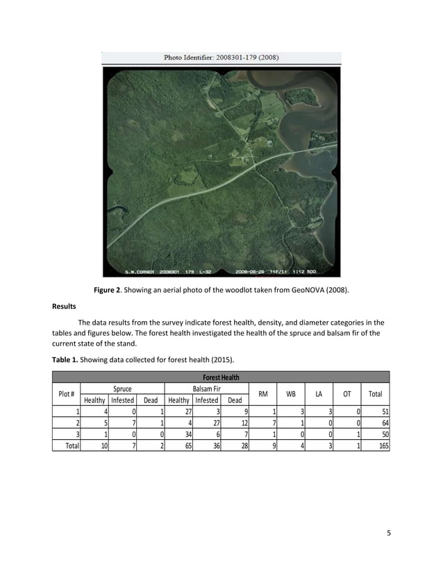 Forest Survey MATH Project Jim | DOCX | Woodworking | Arts and Crafts