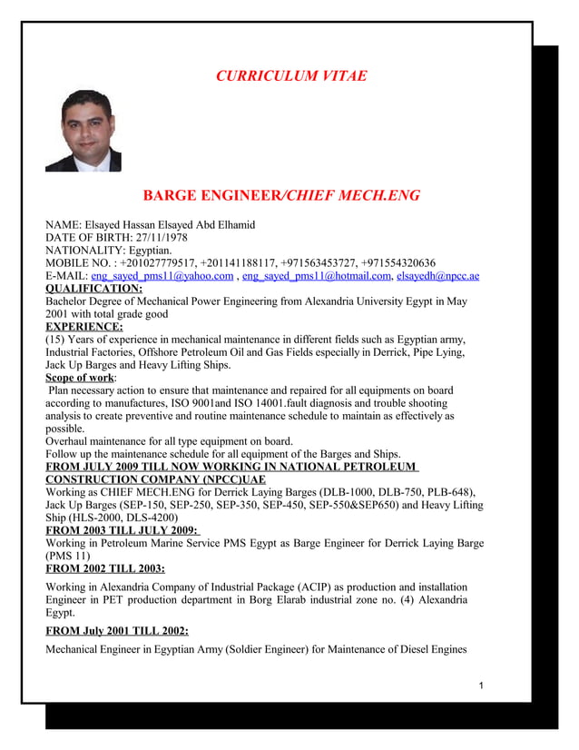 Elsayed Cv Updated Pdf
