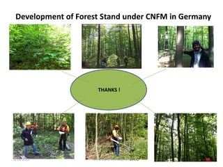 A comparative analysis of stand development and | PPT