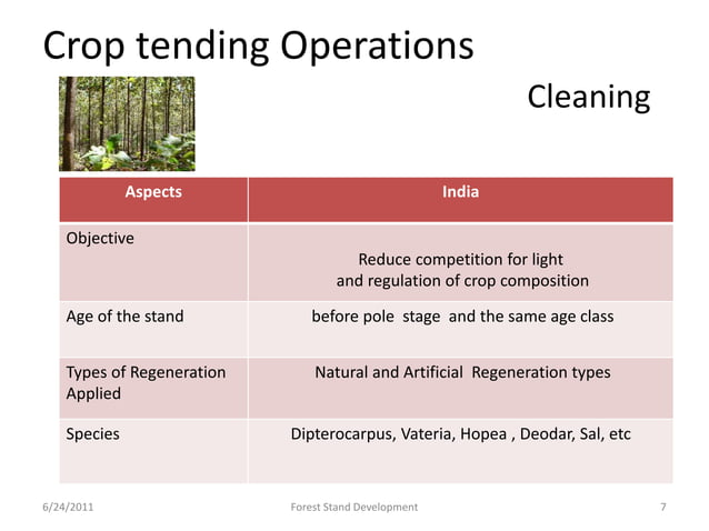 A comparative analysis of stand development and | PPT