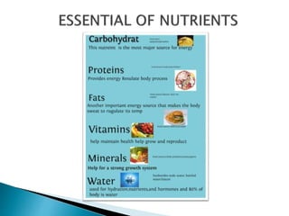 6 basic nutrients | PPTX