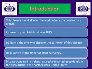 Late Blight of Potato | PPTX