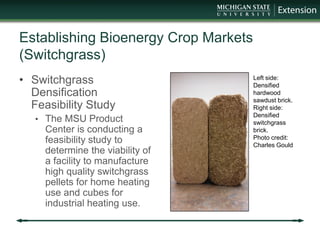 Growing fuels: Bioenergy crop opportunities for farmers | PDF