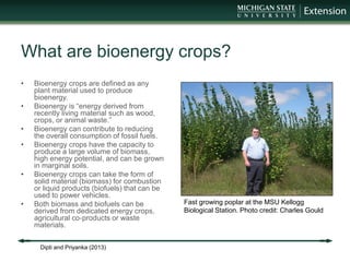Growing fuels: Bioenergy crop opportunities for farmers | PDF