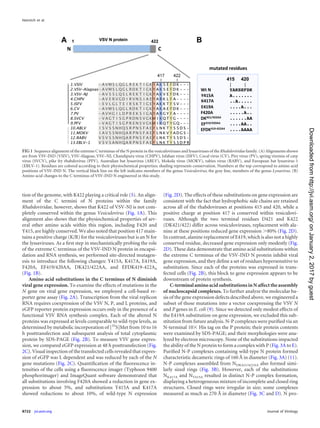 Heinrich et al., 2012 | PDF