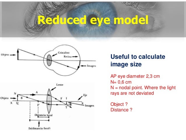 6 biophysics of vision 2015