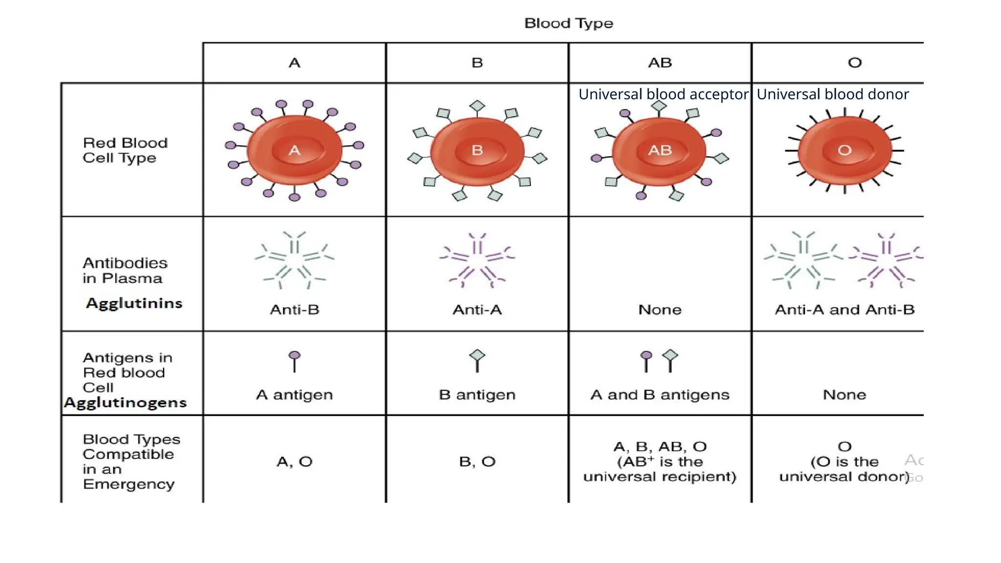 DPT - Physiology - II (Blood Physiology) Blood groups and their and ...