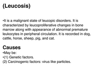 6 bovine leukemia (leucosis) | PDF | Blood Disorders | Diseases and ...