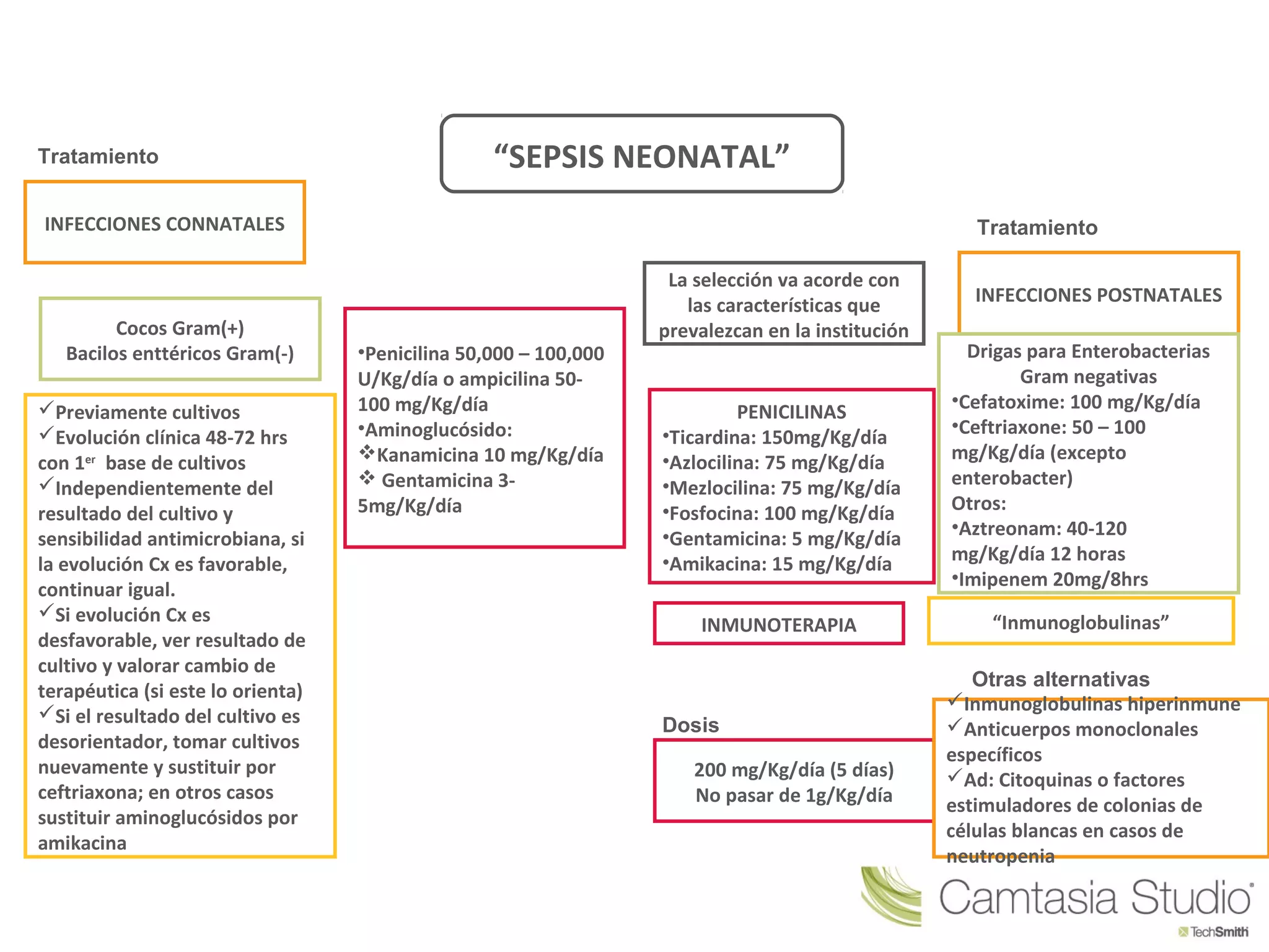 6b sepsis meningitis neonatal | PPT | Infectious Diseases | Diseases ...