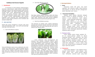 6_Budidaya Sawi Secara Organik.PDF