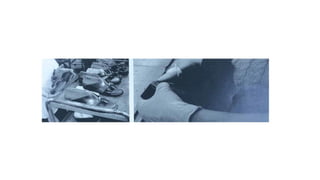 Cavallo Brand Profile | PDF