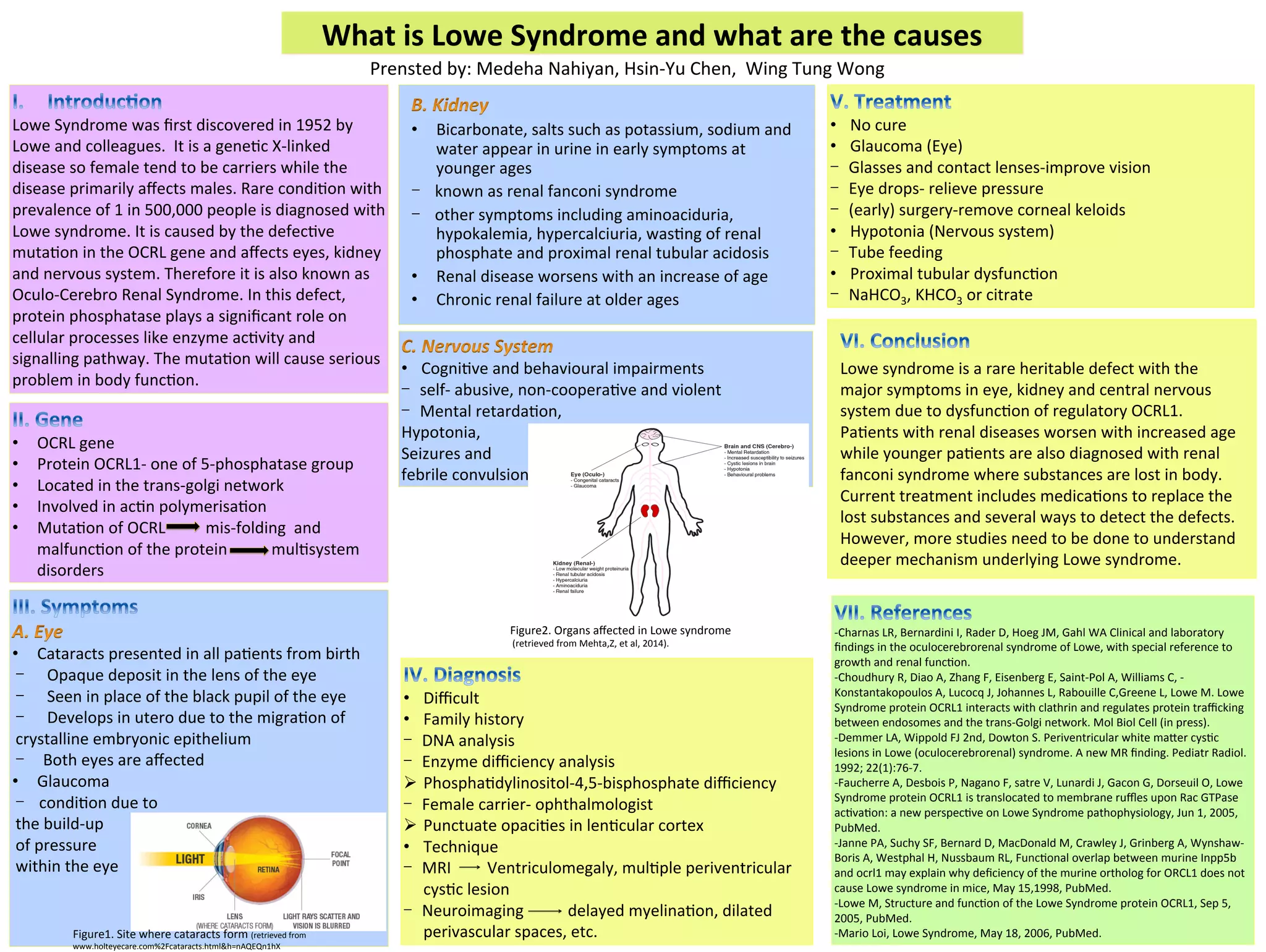 lowe-syndrome poster | PDF