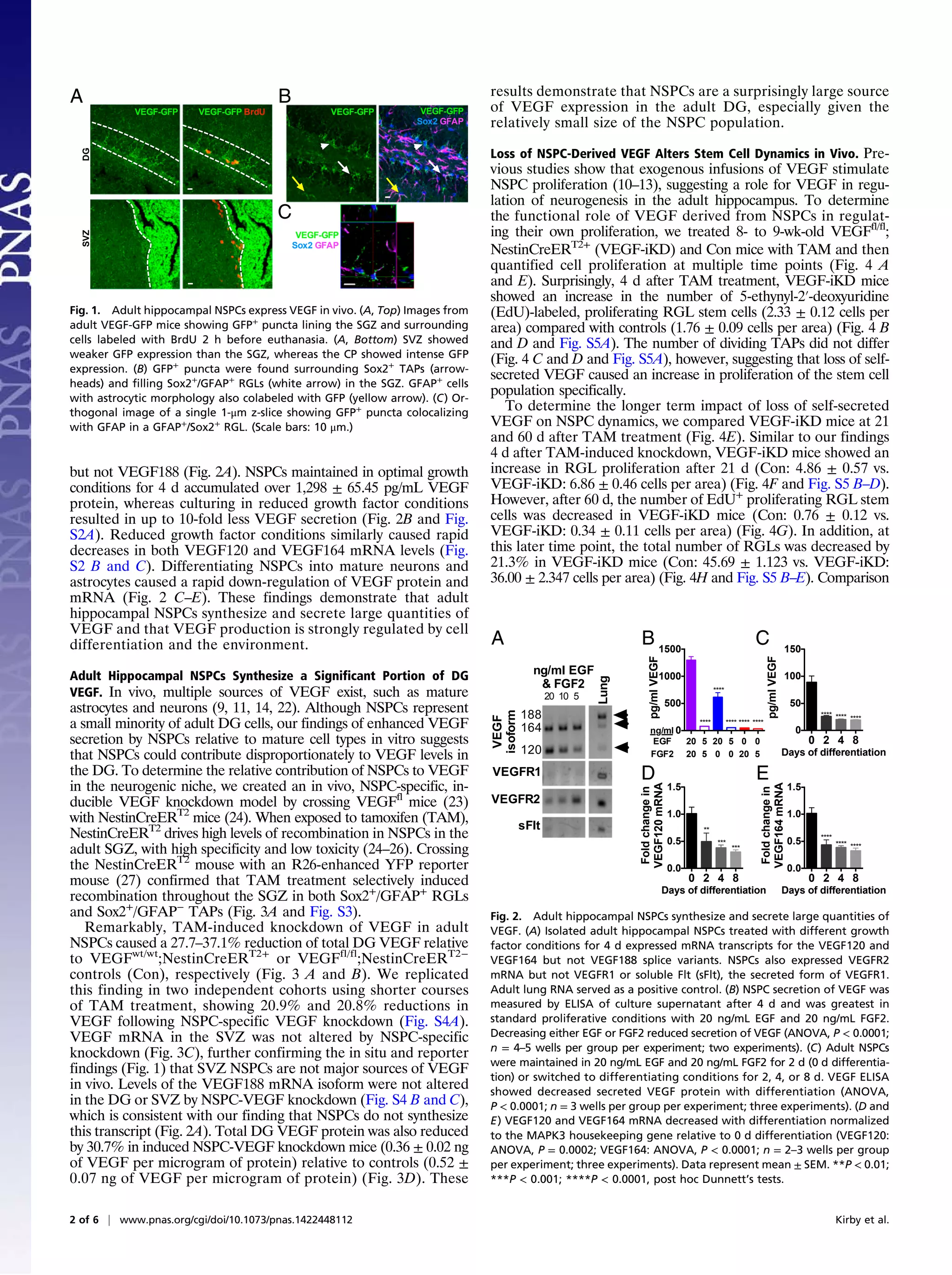 PNAS-2015-Messer | PDF