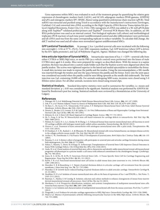 Intra_articular injection of synovial mesenchymal stem cells improves ...