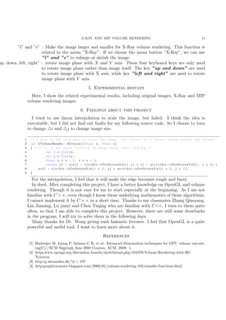 TAO Fayan_X-Ray and MIP volume rendering | PDF