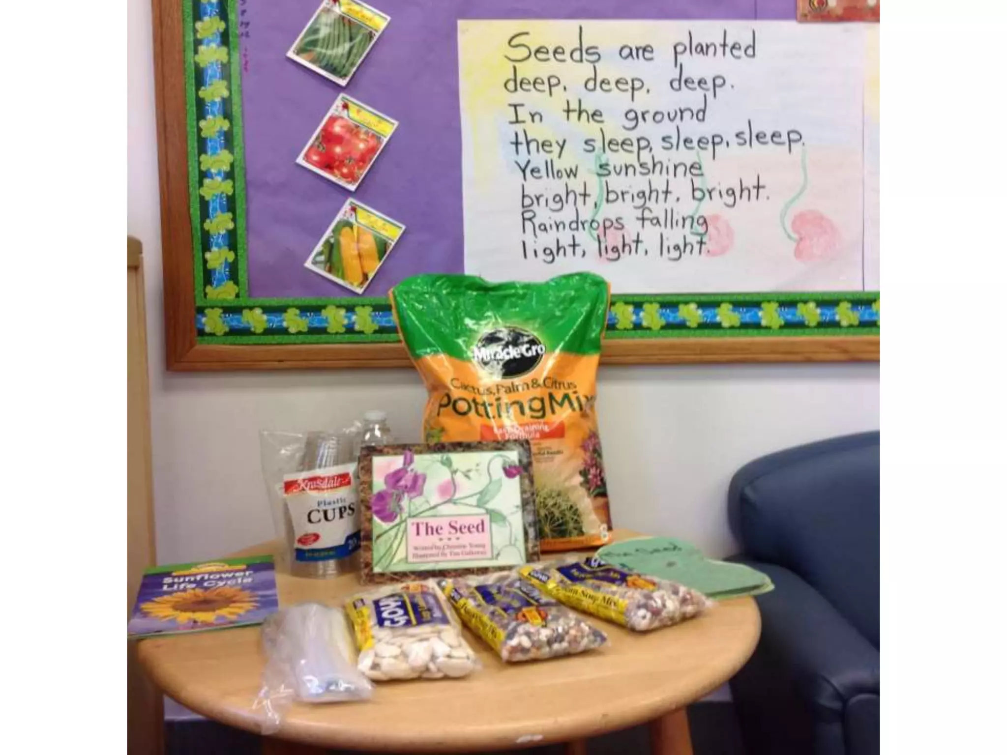 The life cycle of a bean plant unit. | PPTX