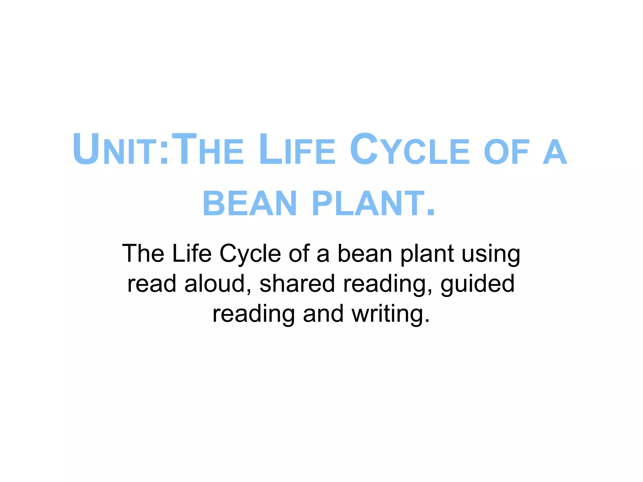 The life cycle of a bean plant unit. | PPT
