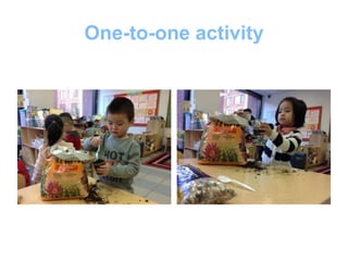 The life cycle of a bean plant unit. | PPTX