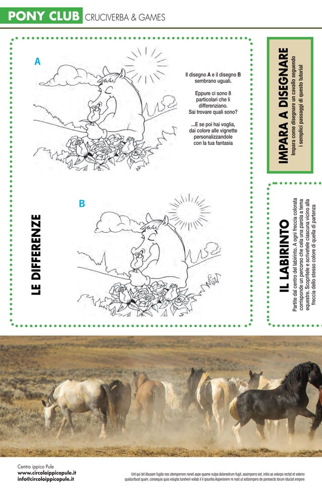 Cavallo Junior 2016 | PDF