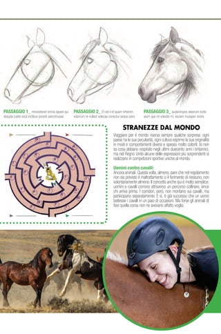 Cavallo Junior 2016 | PDF