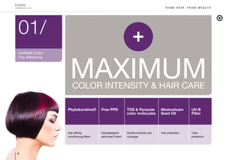 GAMMA COLOR GUIDE_EN_int-1 | PDF