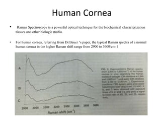 Confocal Raman Microspectroscopy of Cornea | PPT