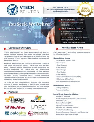 Capablity Statement | PDF | IT and Internet Support | Internet