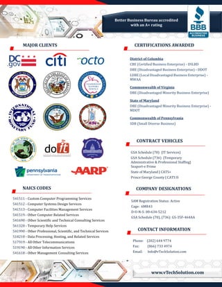 Capablity Statement | PDF | IT and Internet Support | Internet